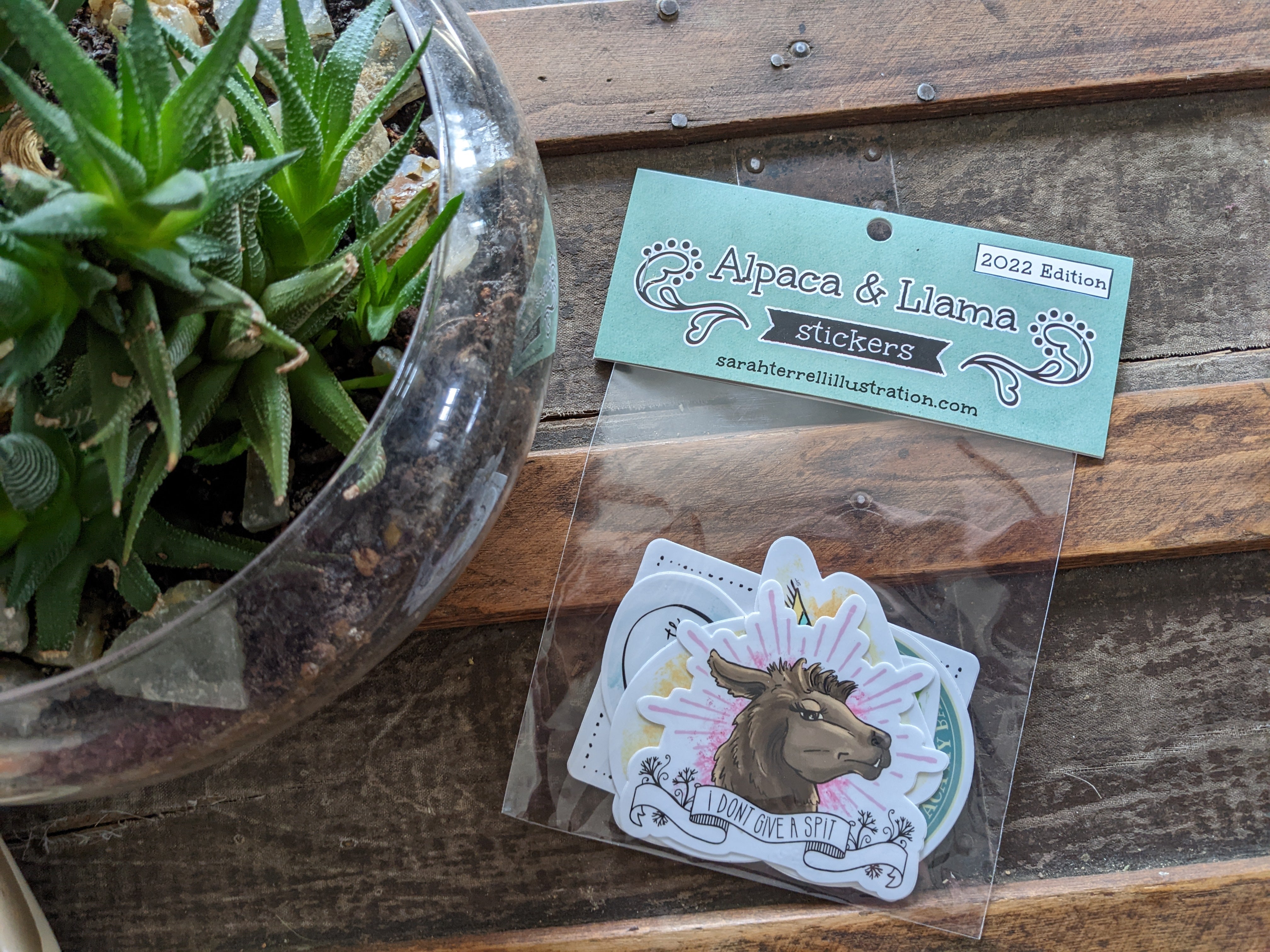 Alpaca & Llama Sticker Pack 2022 Edition - Decorative Decals (Set of 5 ...